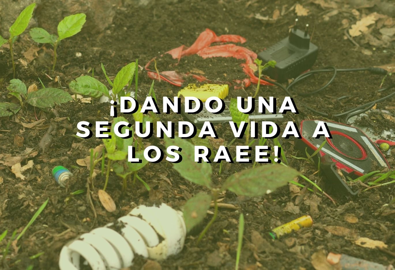 Empresa de Gestión y Tratamiento de Raee 2024 en Colombia